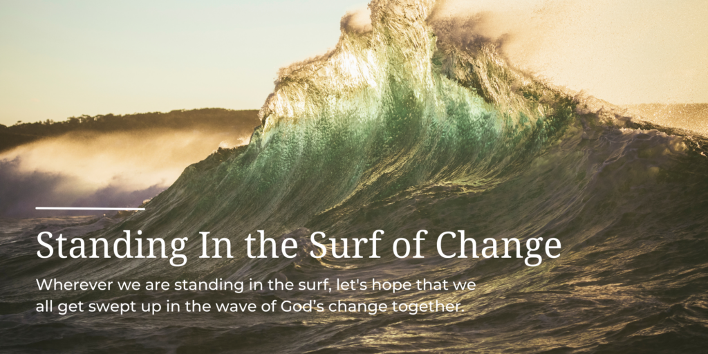 Standing In the Surf of Change - The Center for Healthy Churches ...